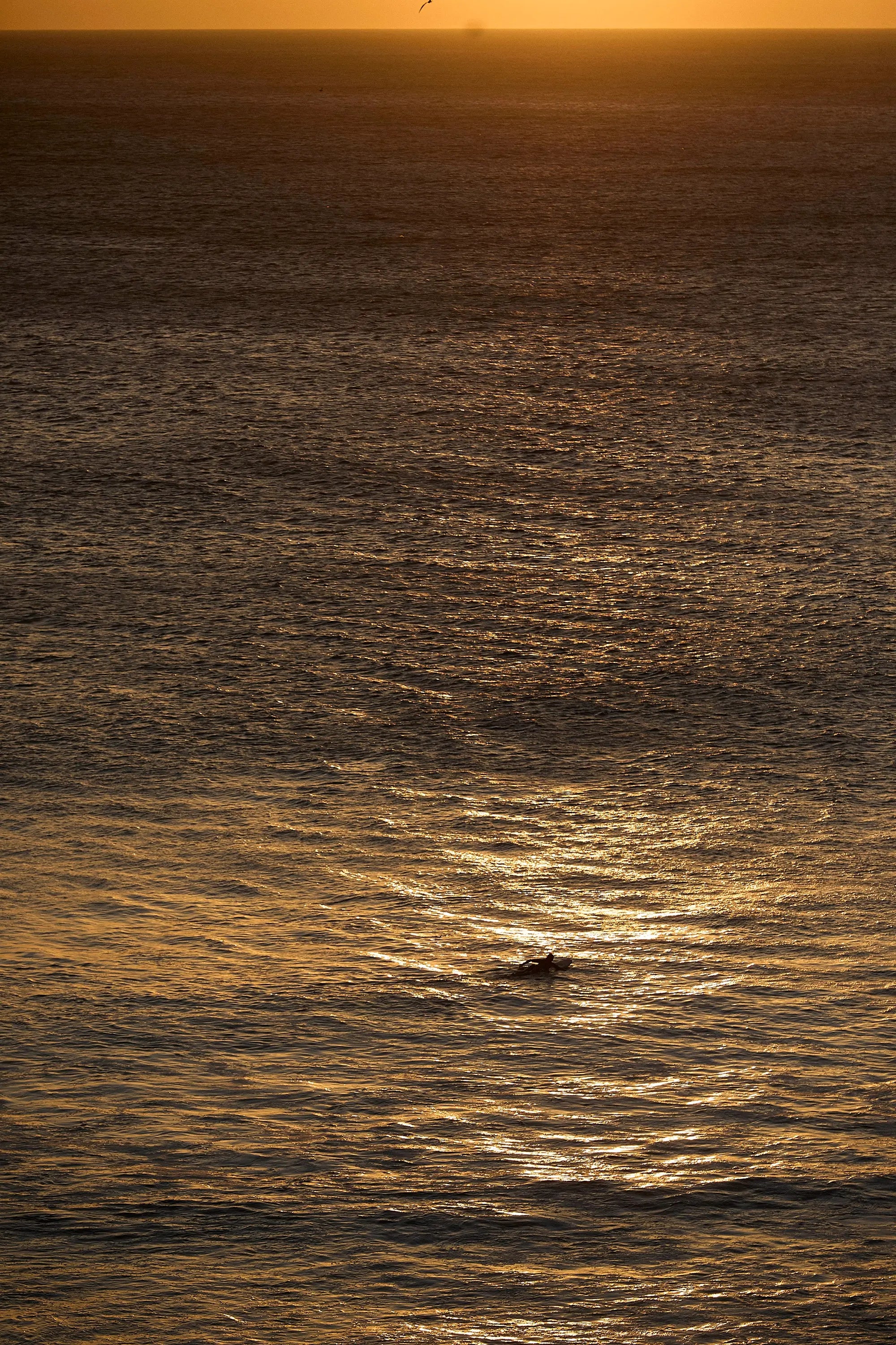 ALONE IN GOLD – Frederic Pinet Art
