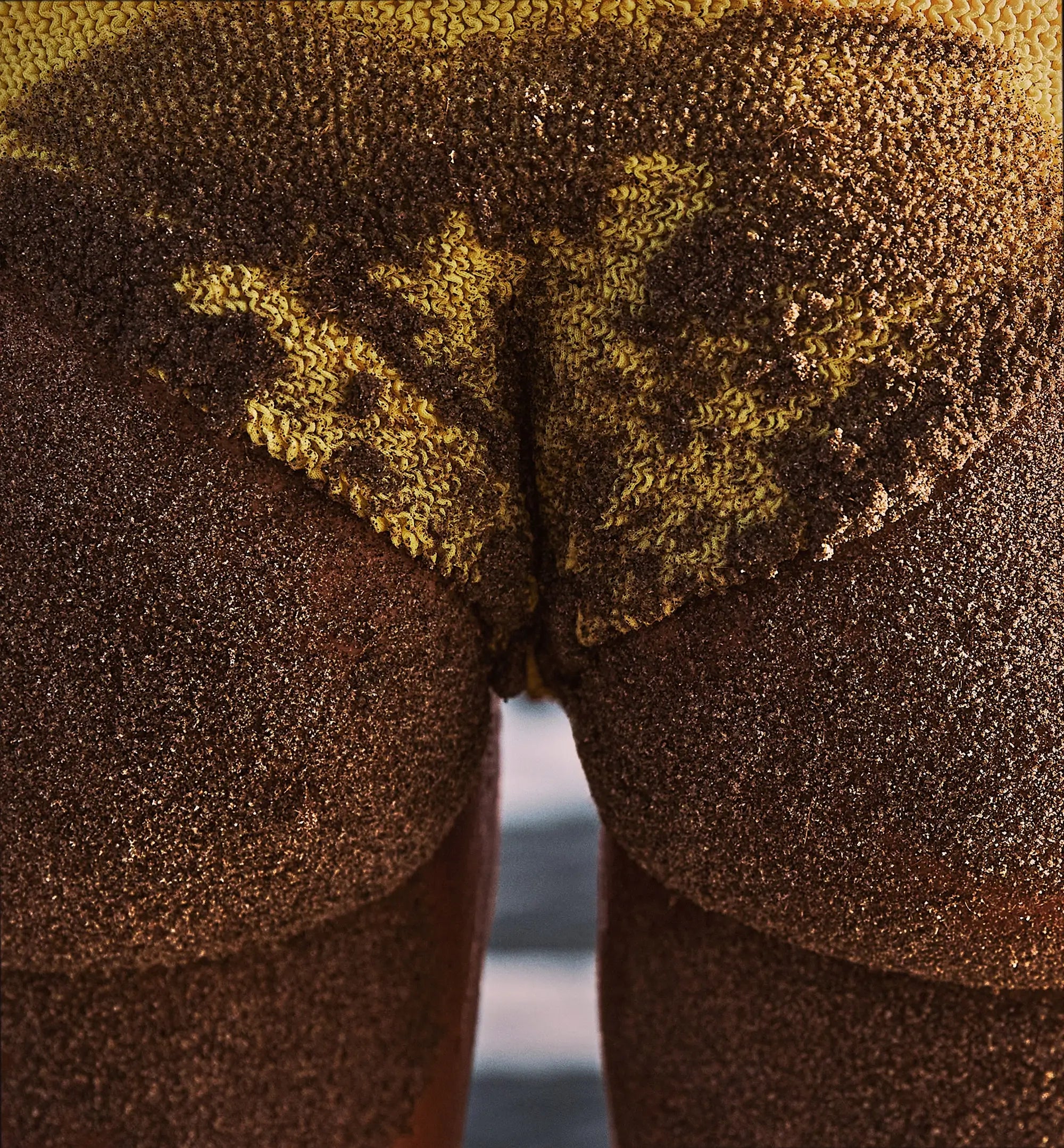 SANDY – Frederic Pinet Art